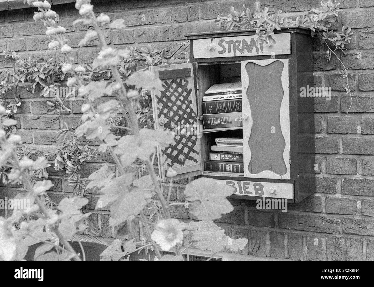 Librarey hi-res stock photography and images - Alamy