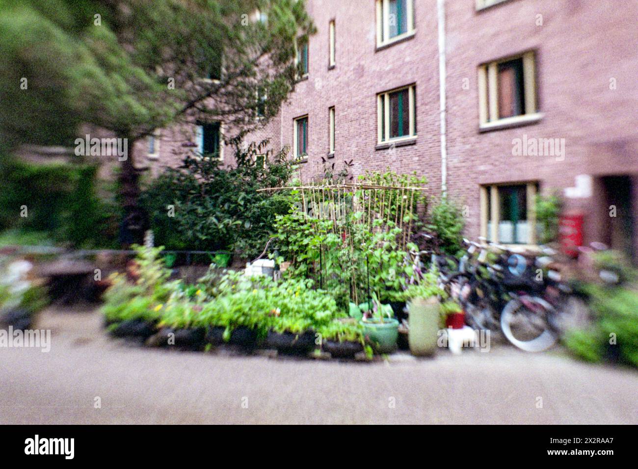 Garden & Green Amsterdam, Netherlands. Green & garwden inside a ...