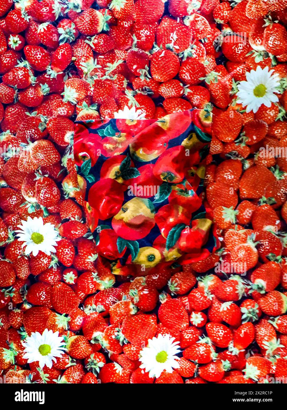 Surchage hi-res stock photography and images - Alamy