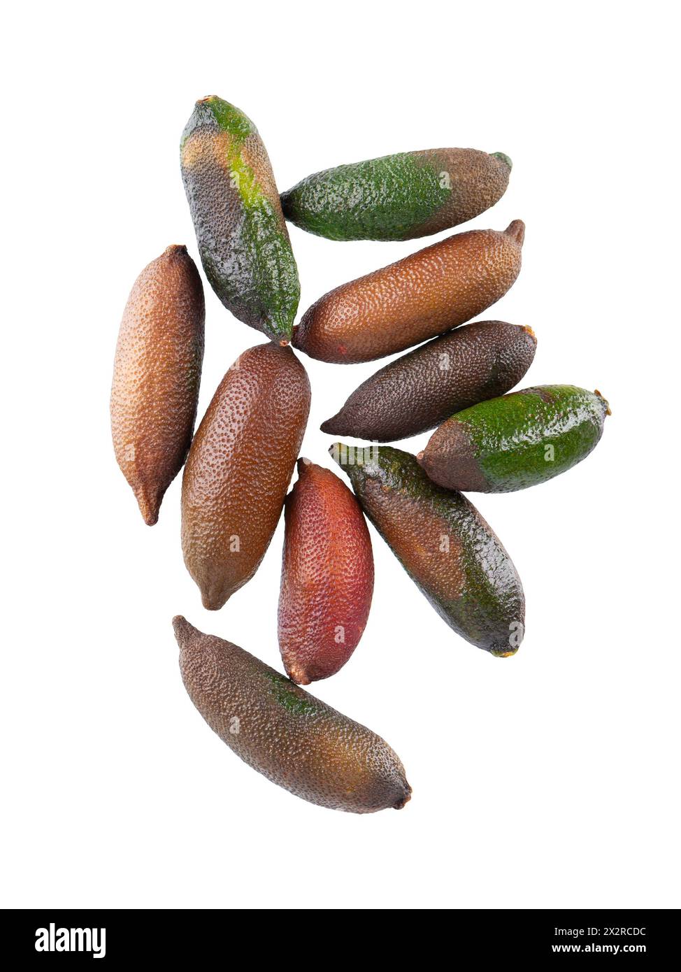 Fresh finger limes isolated on white background. Caviar lime. Fruits ...