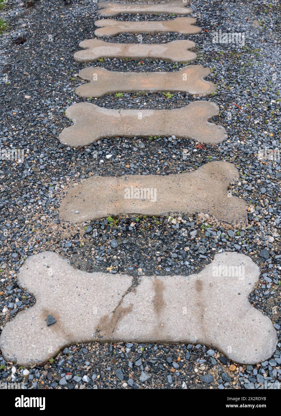 Dog-bone-shaped paver stones make a nice pathway to somewhere pet ...