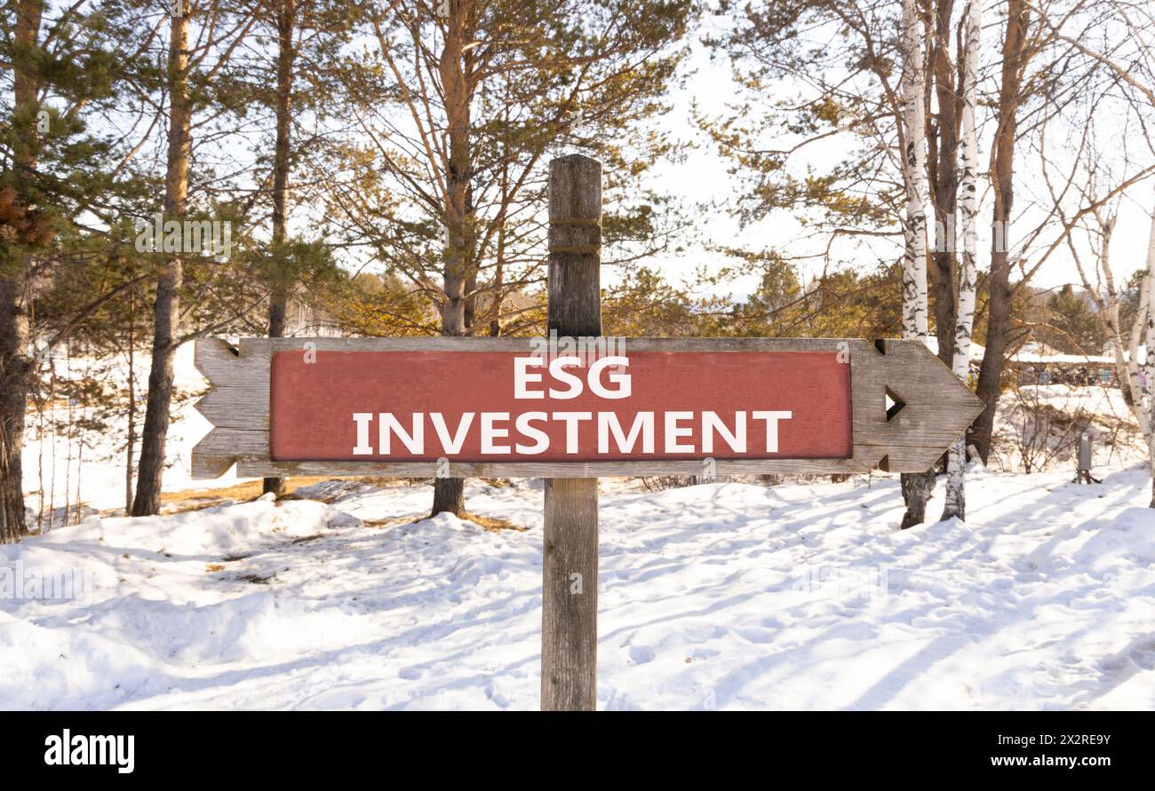 ESG environmental social governance investment symbol. Concept words ...