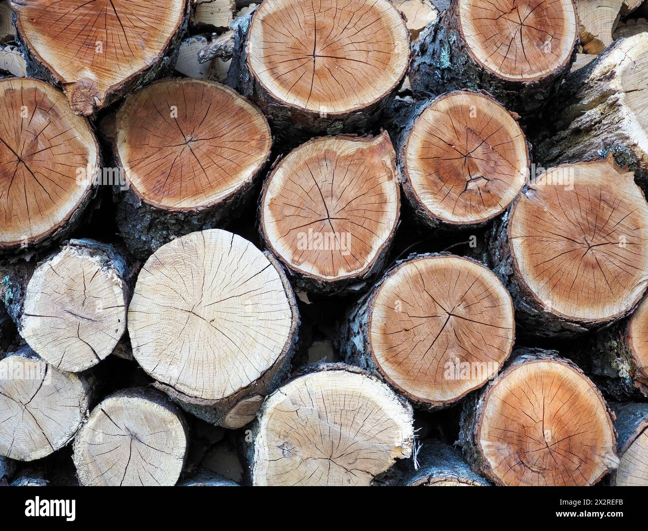 Stacked wood pile hi-res stock photography and images - Alamy