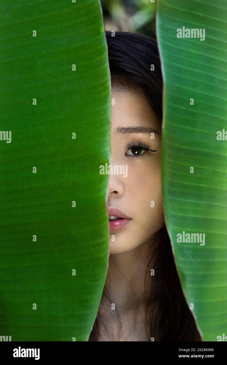 Woman behind leaves hi-res stock photography and images - Alamy