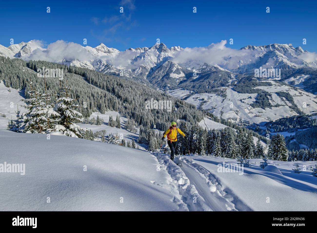 Mature woman back country skiing on Schwalbenwand in Berchtesgaden Alps ...