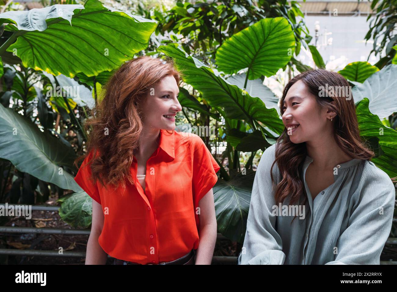 Smiling friends talking with each other near plants Stock Photo - Alamy