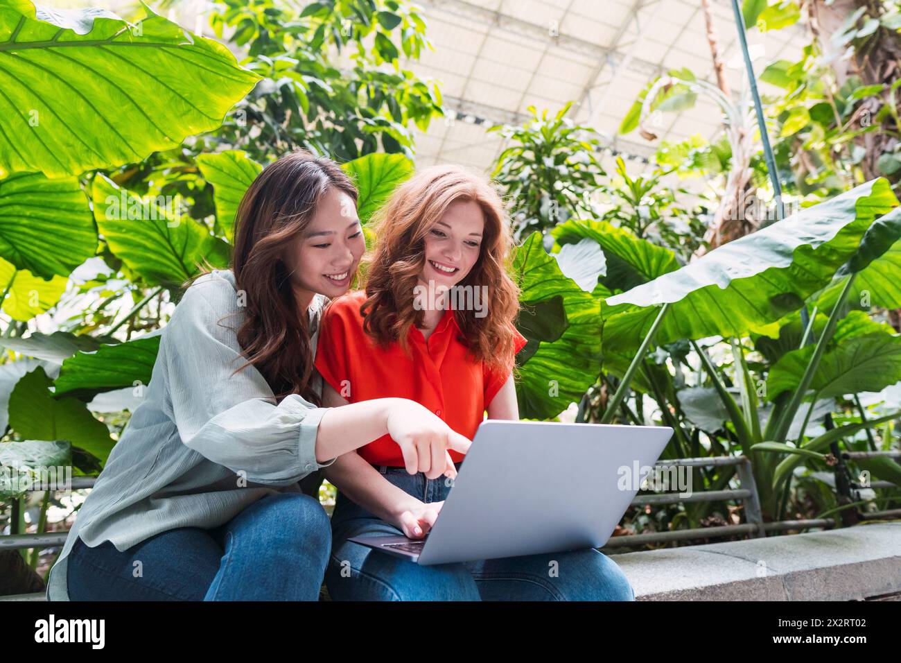 Smiling friends using laptop sitting on bench near plants Stock Photo ...