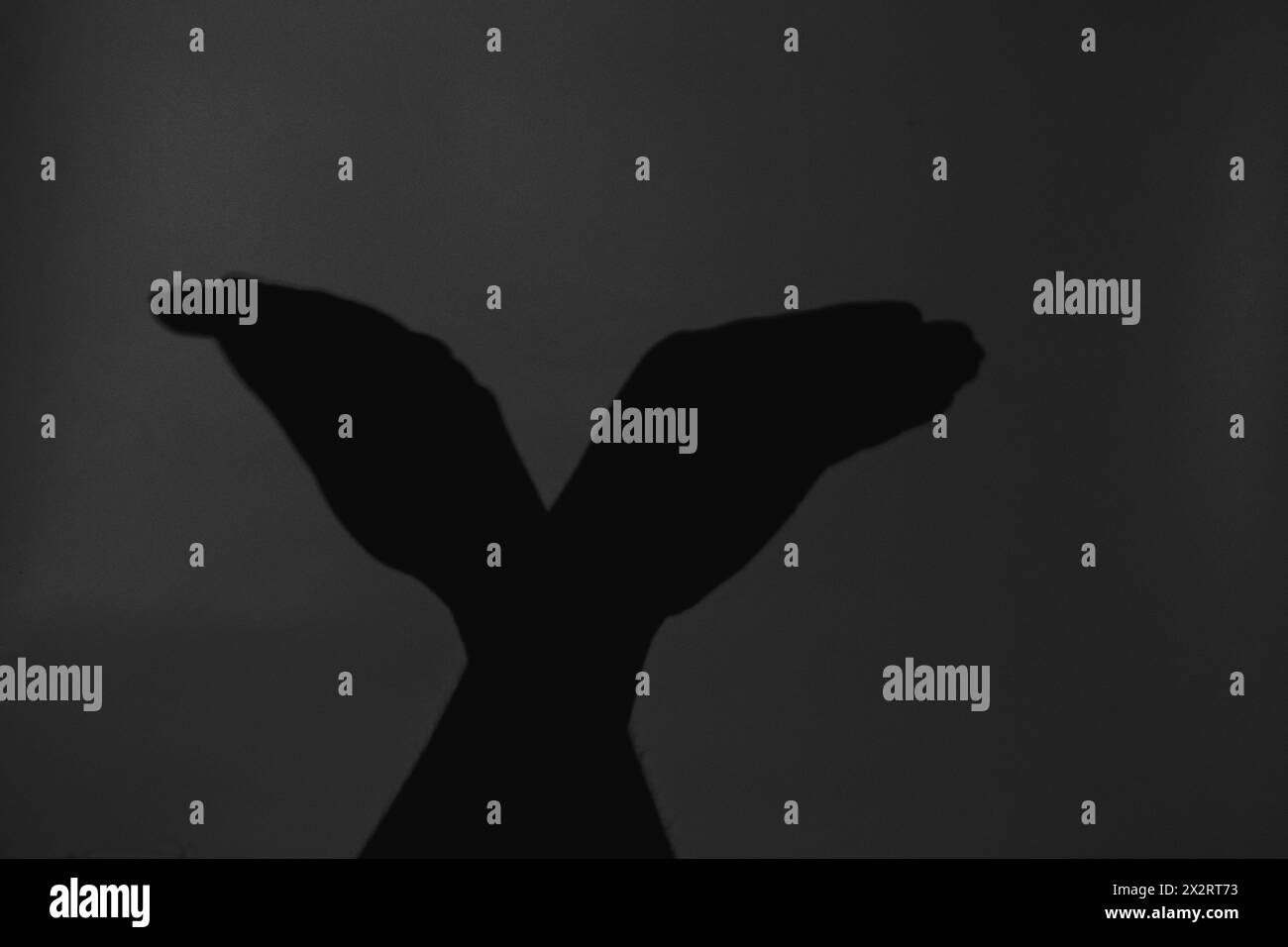 Female hands gesturing in the form of a bird on a light background in ...