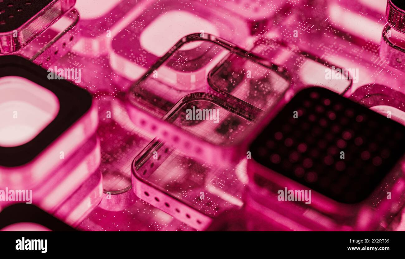 Microchip blocks with illuminated pink light Stock Photo - Alamy