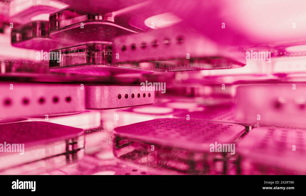 Autonomous microchip intelligence with illuminated pink light Stock ...