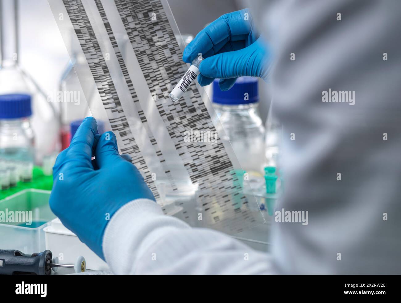 Gel electrophoresis dna hi-res stock photography and images - Alamy