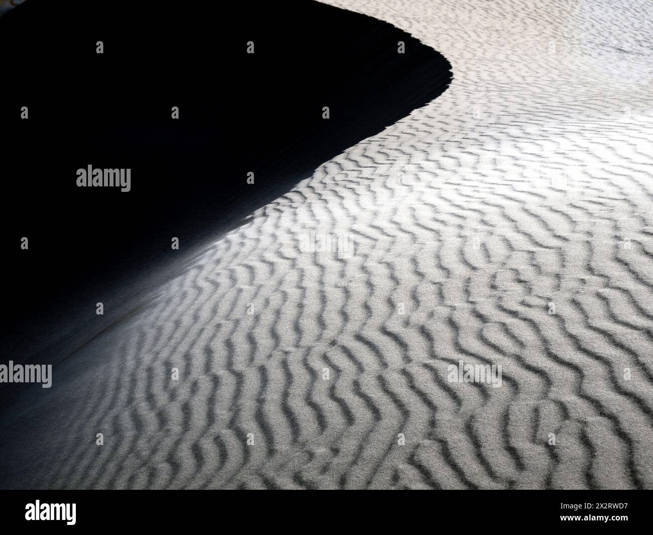 White sand dune with pattern in Sahara desert, Egypt Stock Photo - Alamy