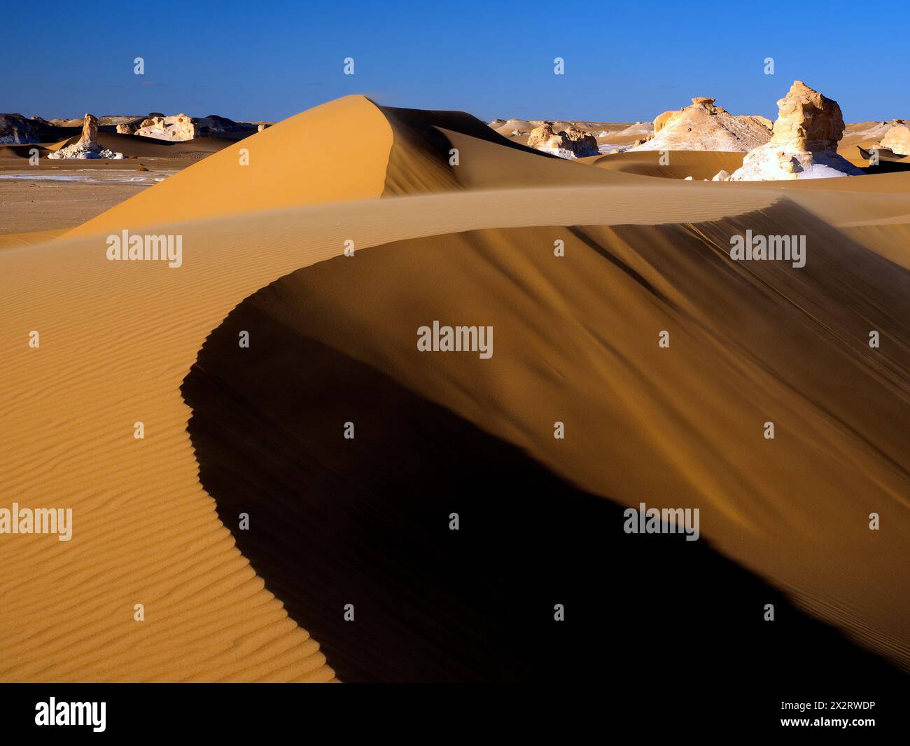 Limestone rock formations in Sahara desert at sunset, Egypt Stock Photo ...