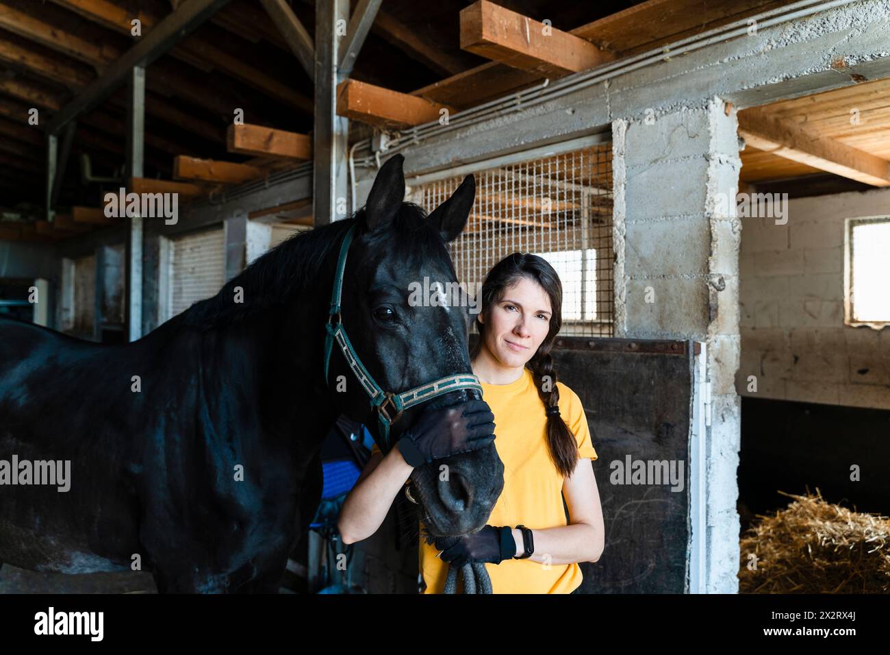 Horse trainer in stable hi-res stock photography and images - Alamy
