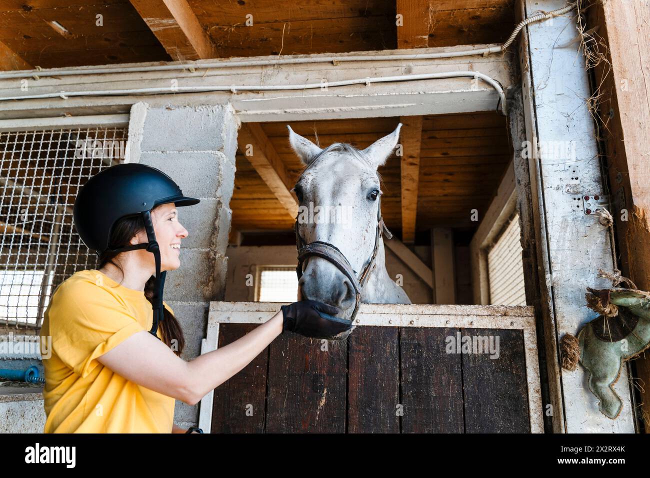 Horse trainer in stable hi-res stock photography and images - Alamy