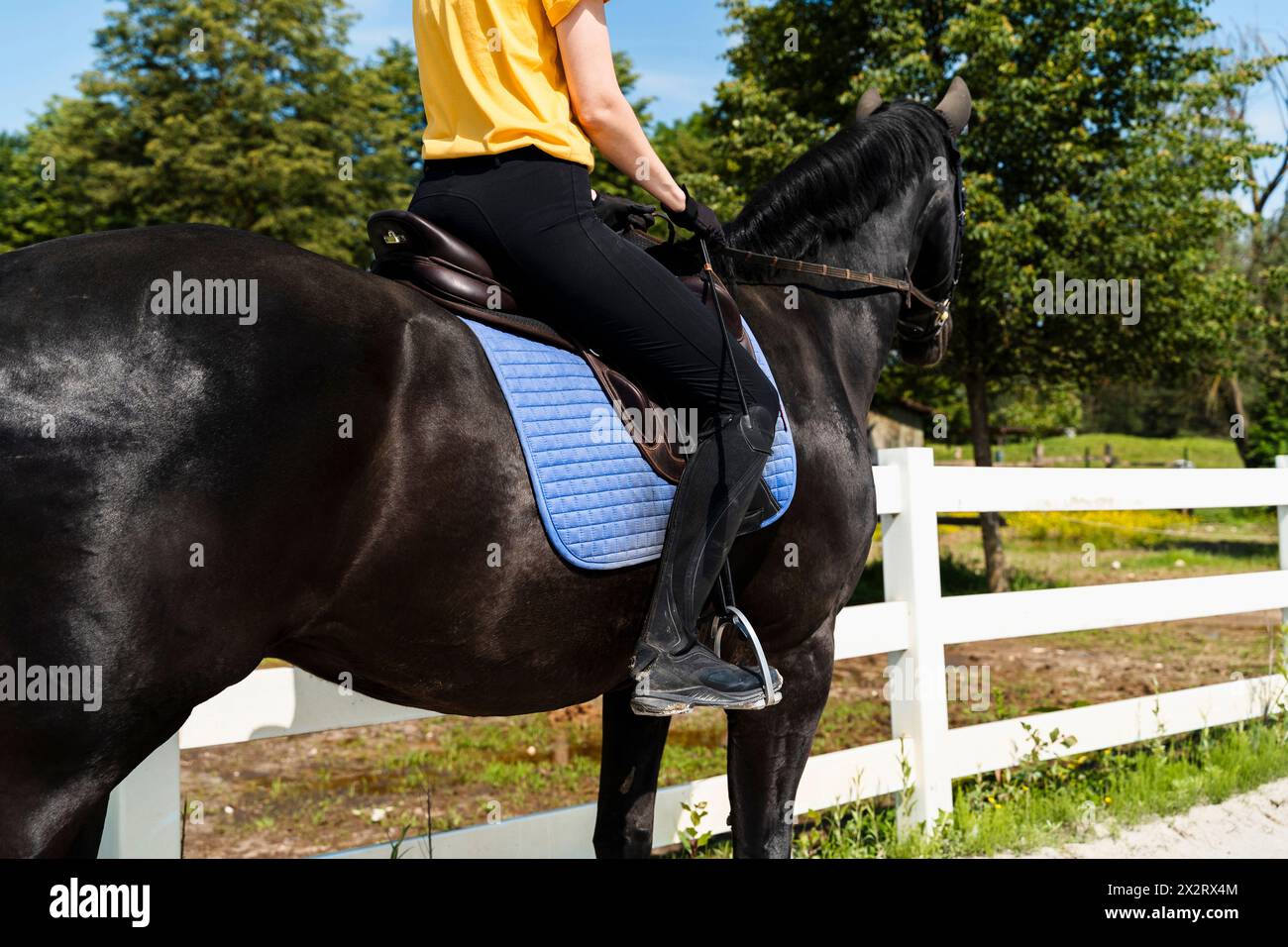 Trainer riding black horse at ranch on sunny day Stock Photo - Alamy