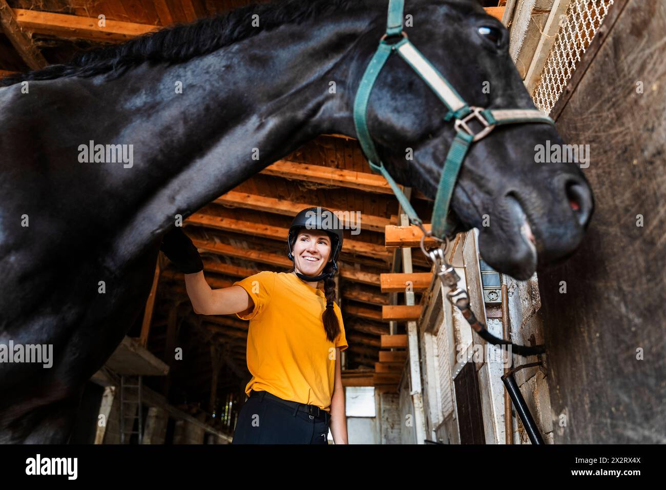 Happy instructor wearing helmet standing by black horse at stable Stock ...