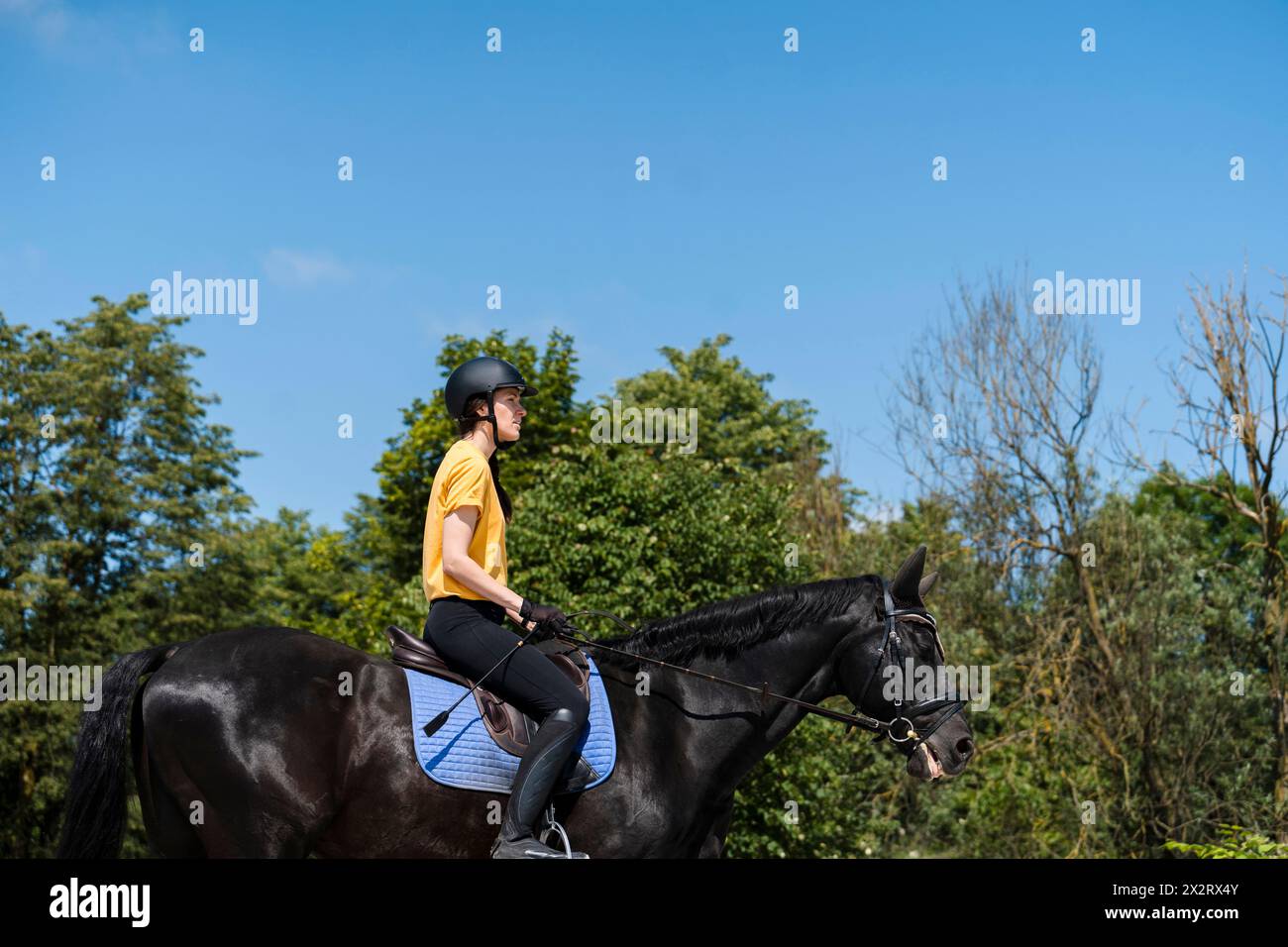 Instructor riding black horse at ranch on sunny day Stock Photo - Alamy
