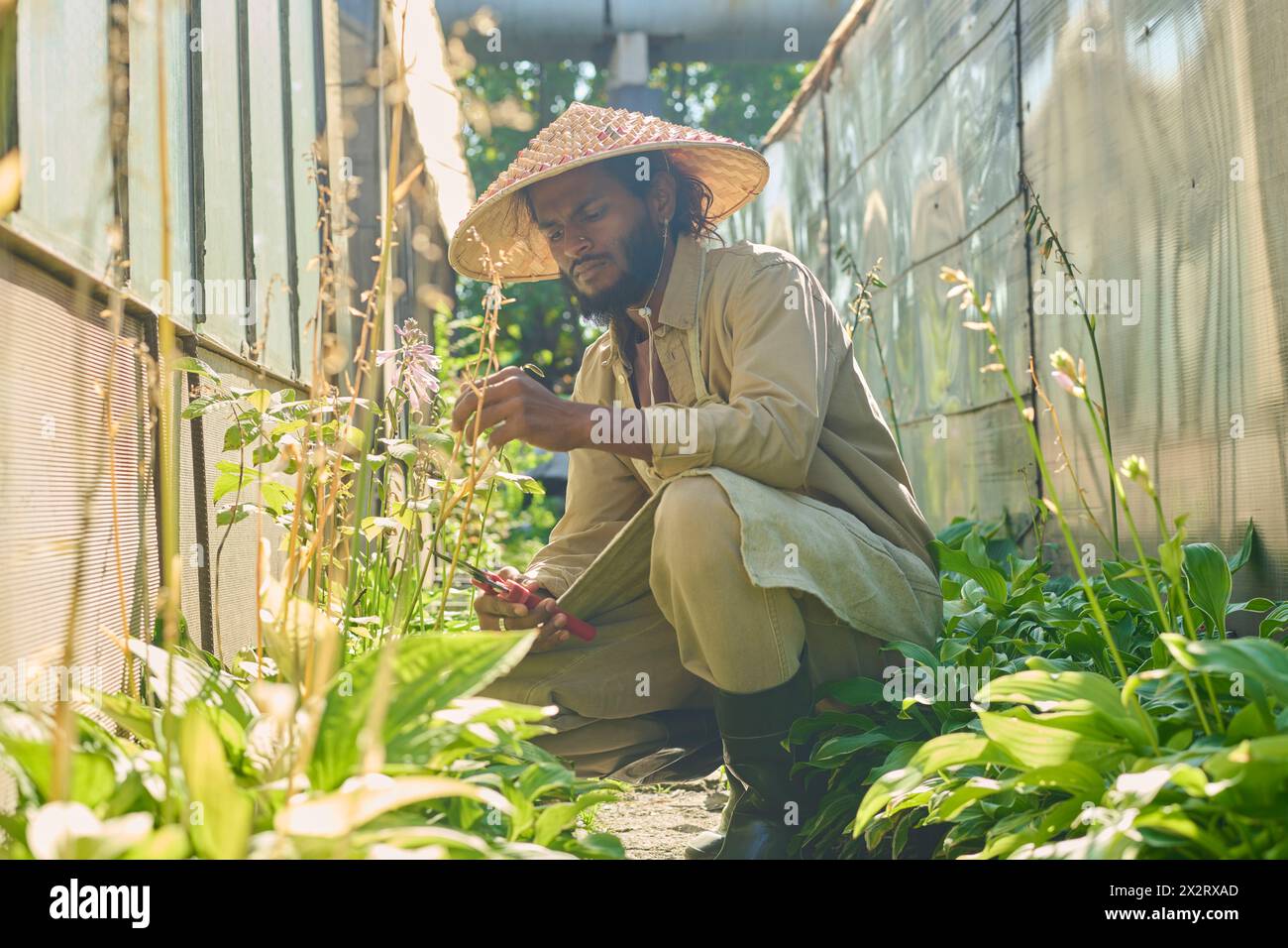 Indian gardener hi-res stock photography and images - Alamy