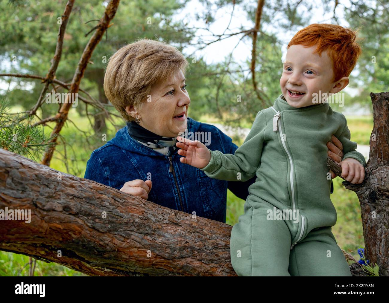 Smiling boy sitting on tree branch near grandmother in forest Stock ...