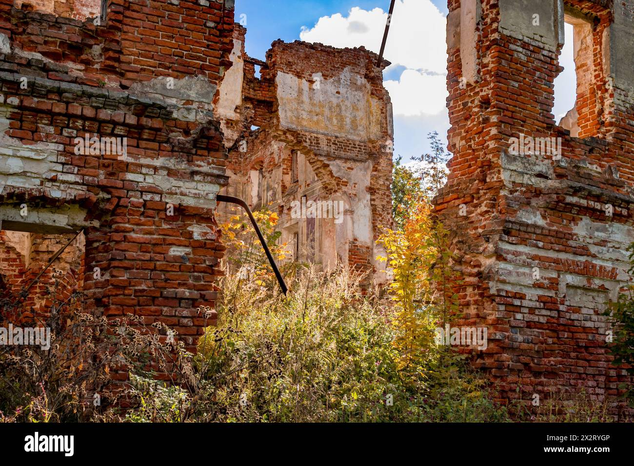 Ruins of a ruined manor of the 18th century close, Belkino, Russia ...
