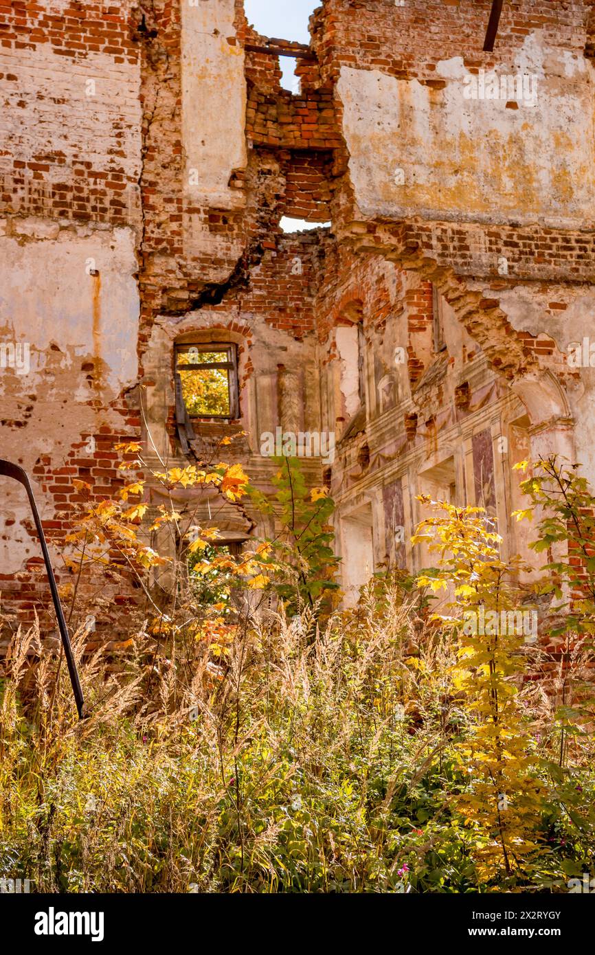 Ruins of a ruined manor of the 18th century close, Belkino, Russia ...