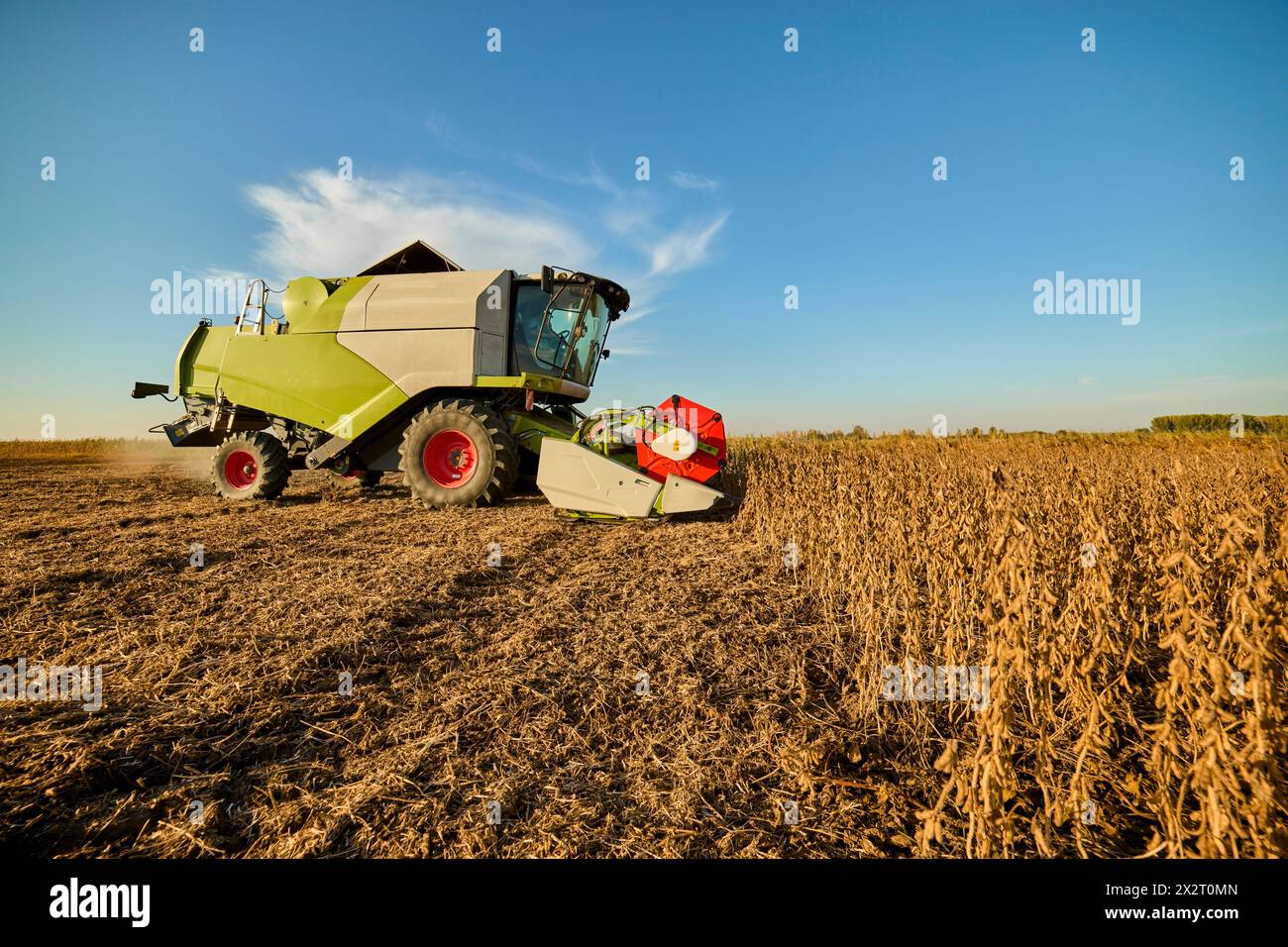 Farmer harvesting soybean field using combine harvester Stock Photo - Alamy