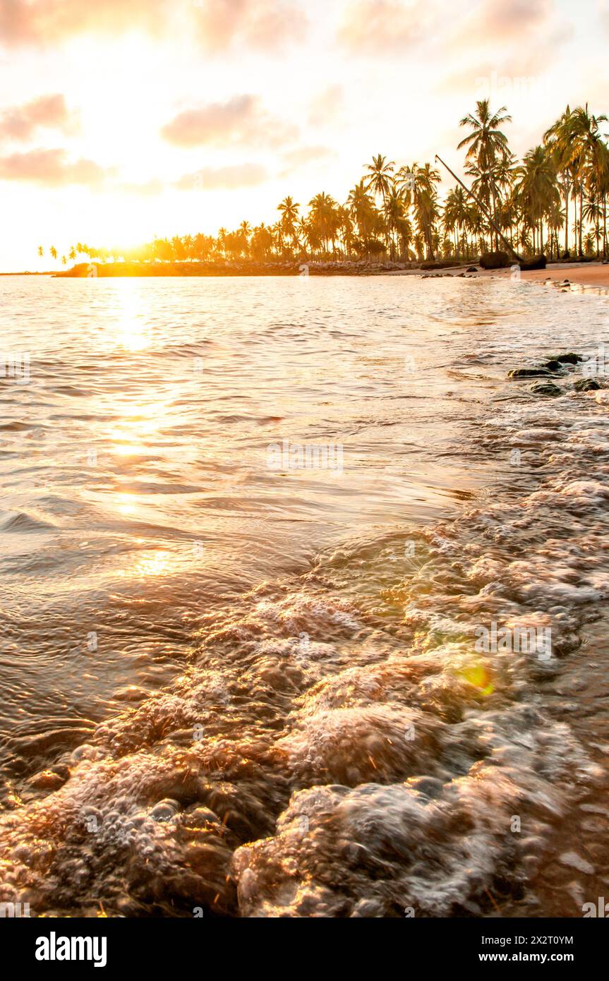 Landscape mexico sinaloa hi-res stock photography and images - Alamy