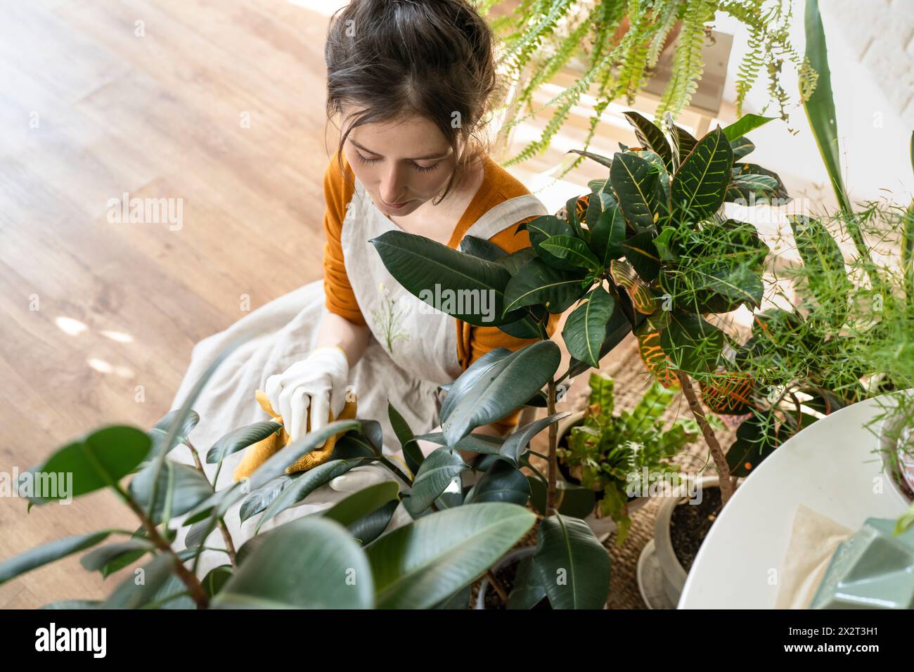 Woman taking care plants hi-res stock photography and images - Alamy