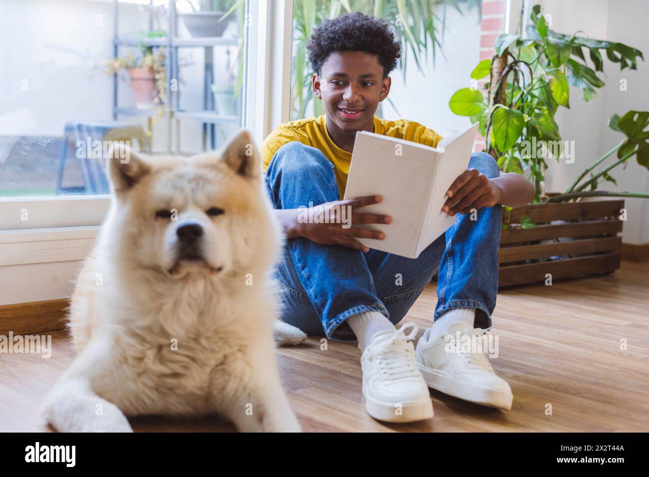 Dog with teenage boy hi-res stock photography and images - Alamy