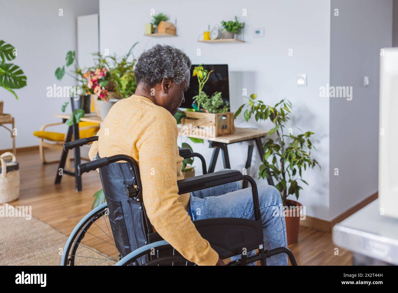 Senior man with disability in wheelchair at home Stock Photo - Alamy