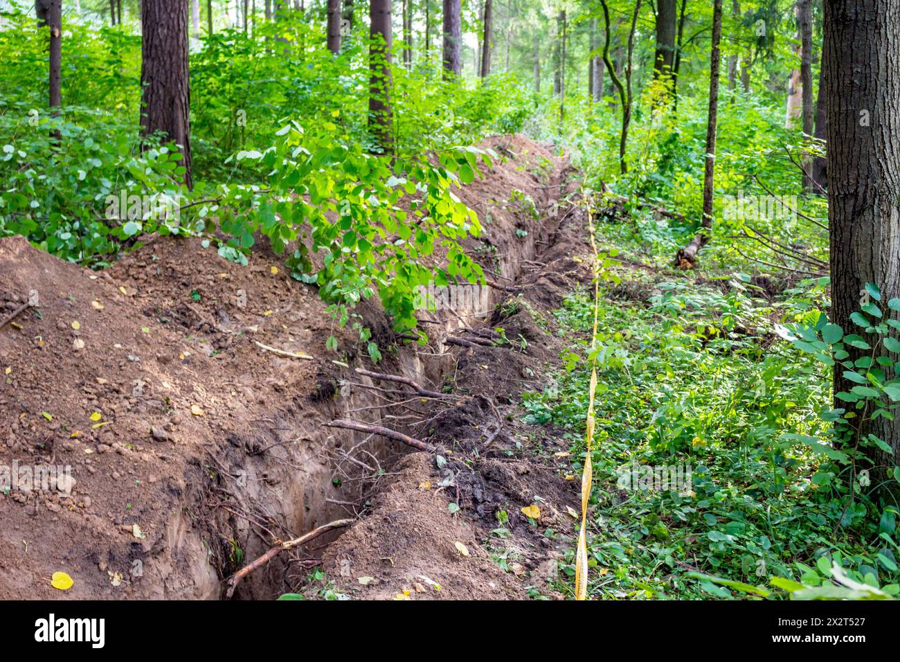 Trench in the forest, fiber optic cable laying Stock Photo - Alamy
