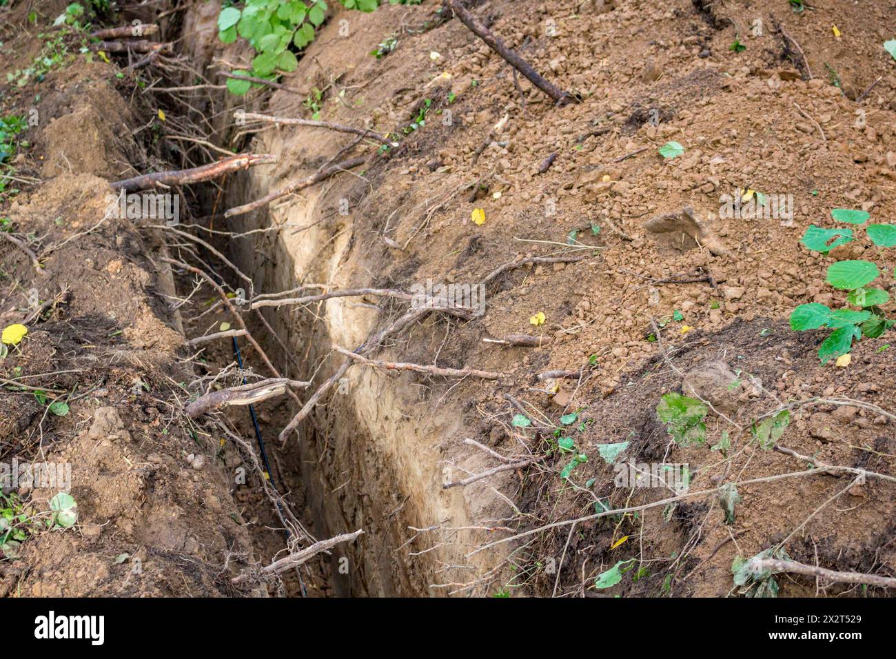 Trench in the forest, fiber optic cable laying Stock Photo - Alamy