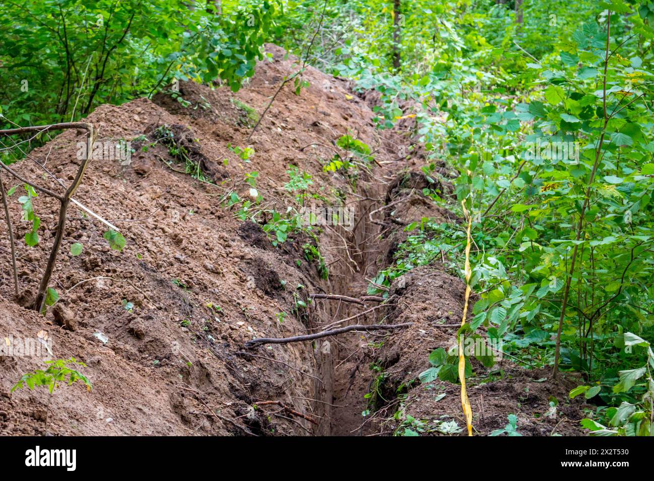 Trench in the forest, fiber optic cable laying Stock Photo - Alamy