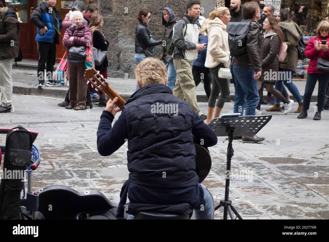 playing the guitar, a stringed instrument, musical instrument in art ...