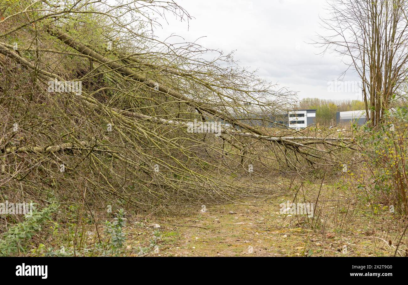 High winds are causing problems hi-res stock photography and images - Alamy