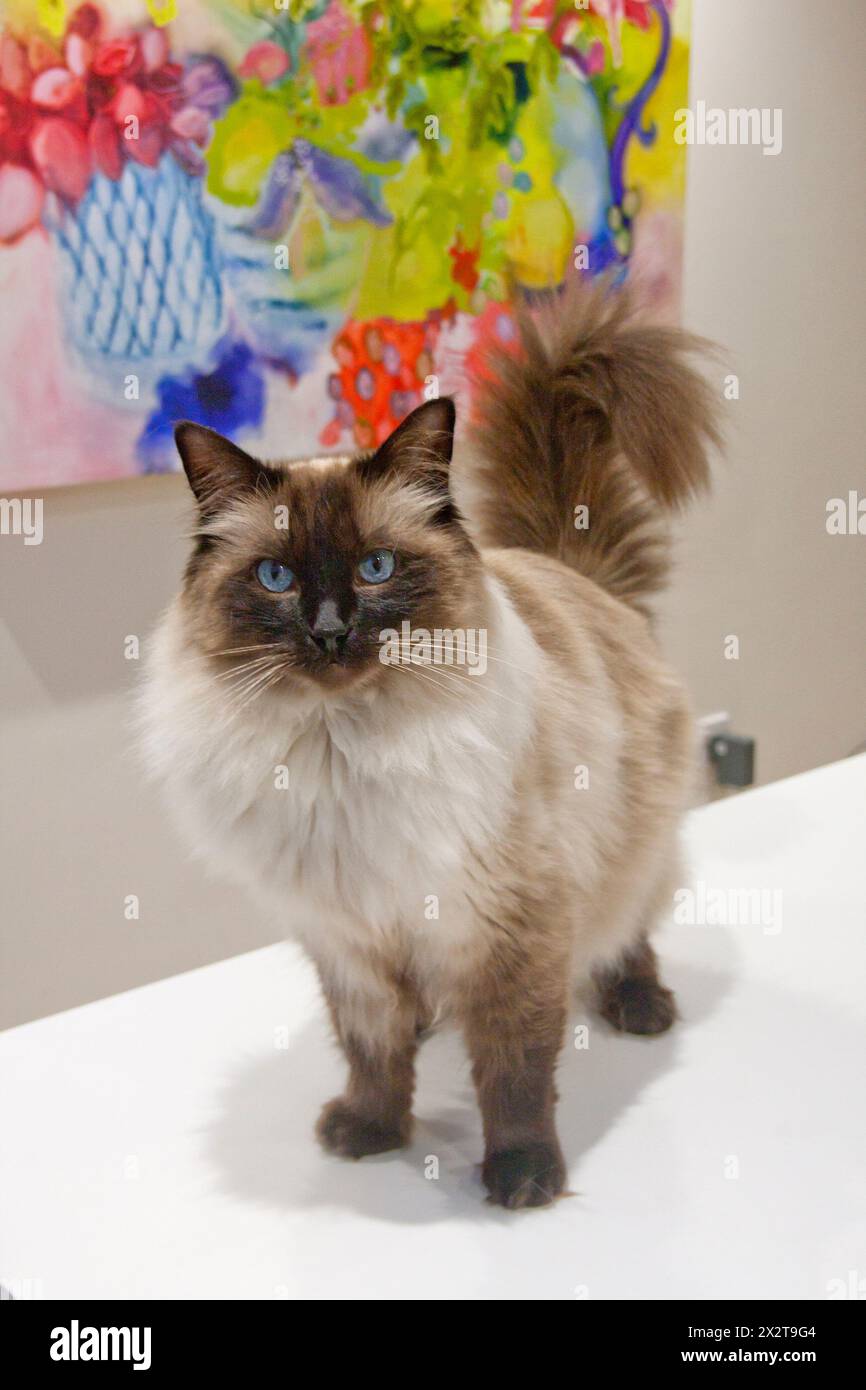 Male doll hi-res stock photography and images - Alamy