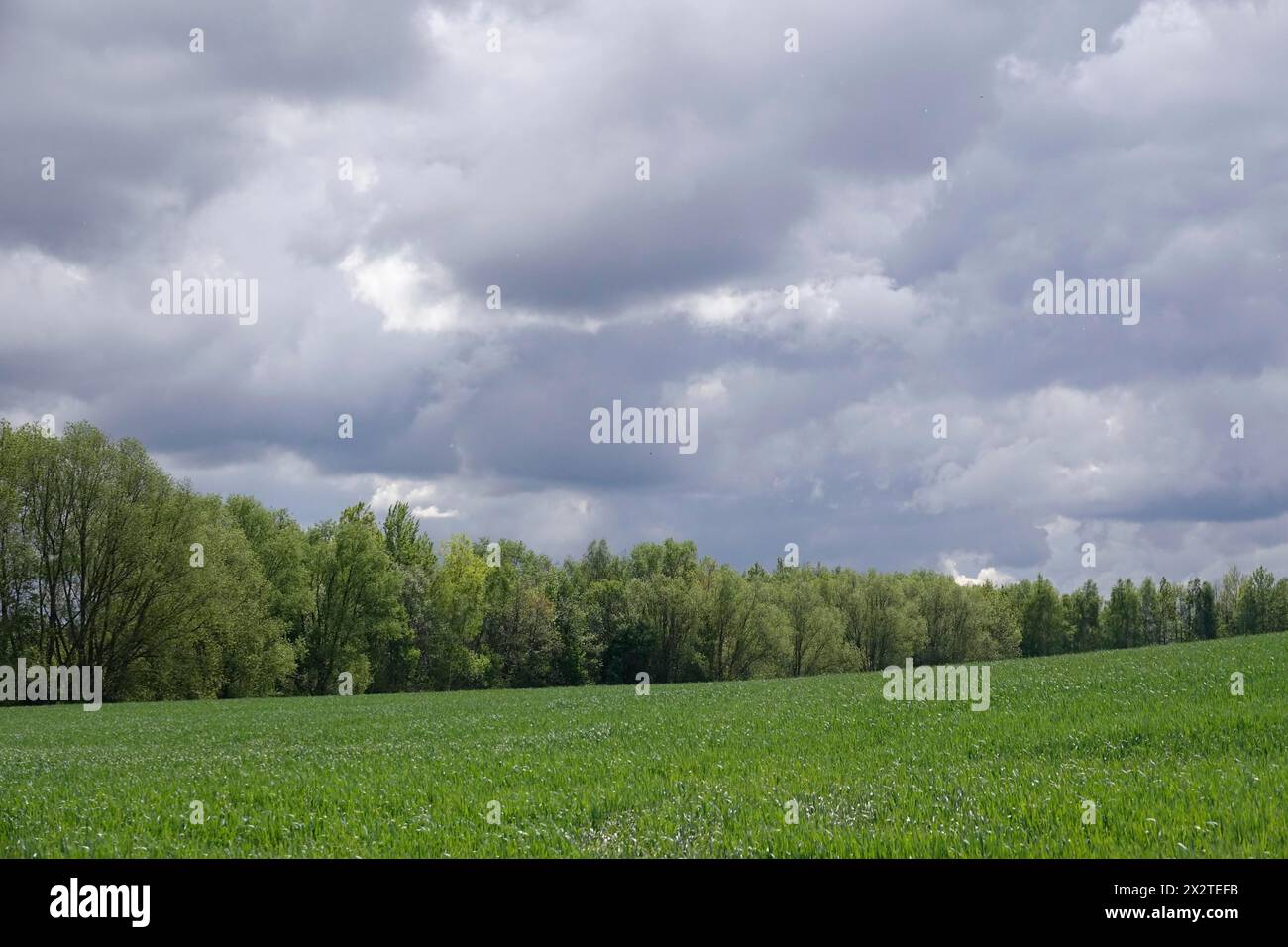 Cloudy sky, weather in April, Germany Stock Photo - Alamy