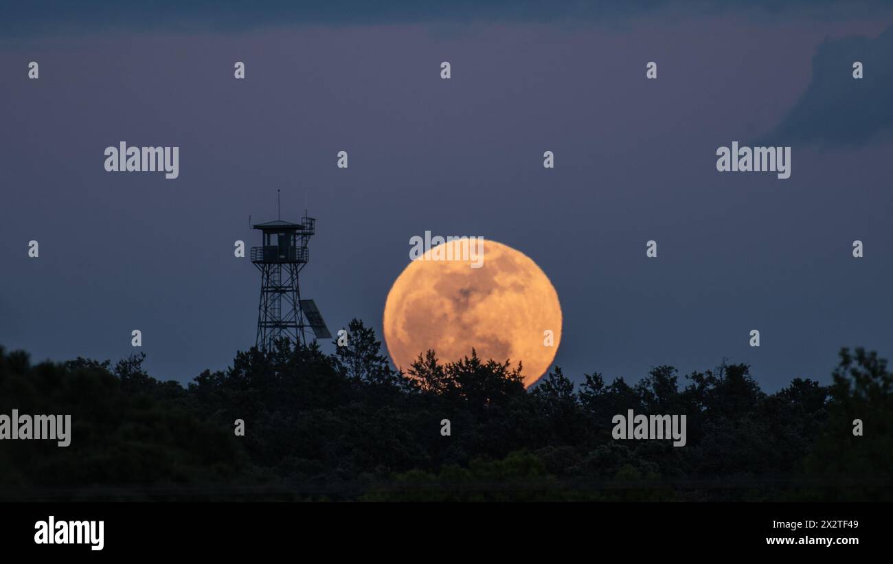 Madrid, Spain. 23rd Apr, 2024. The full moon of April known as the Pink ...