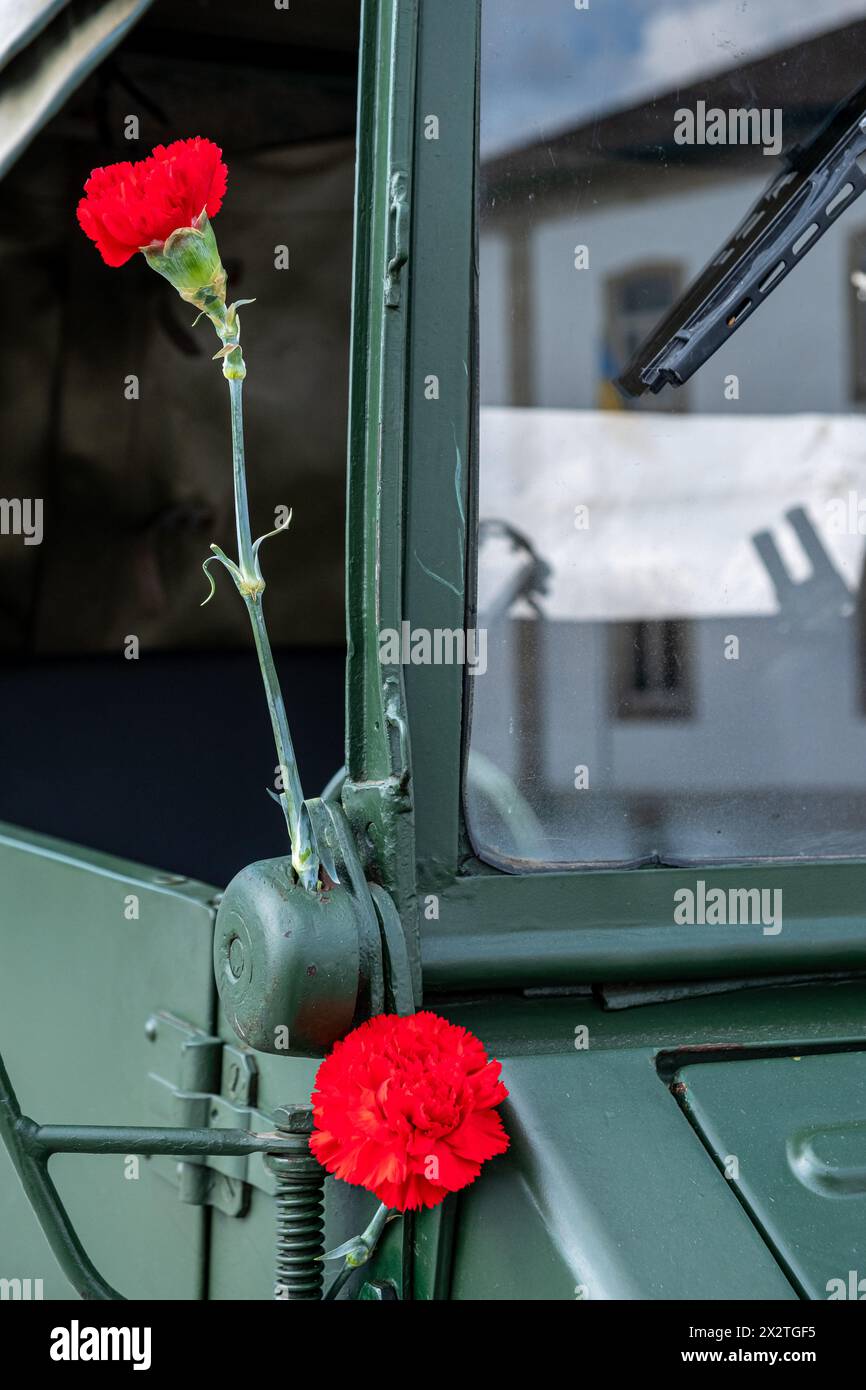 two red carnations decorating a military vehicle during the ...