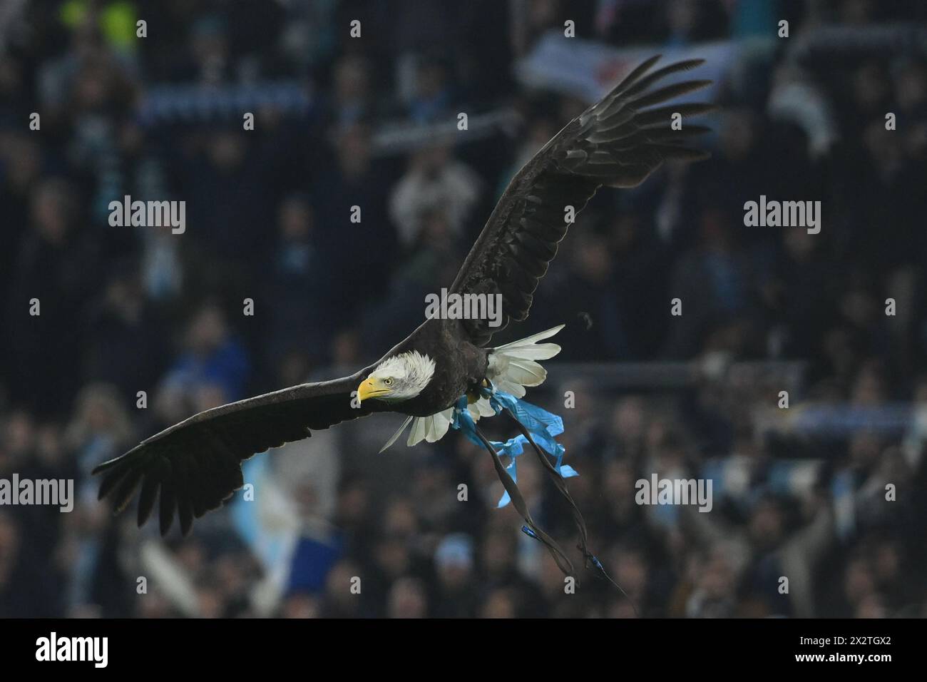 Juventus fc mascot hi-res stock photography and images - Alamy