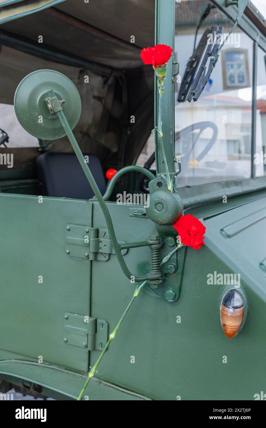 two red carnations decorating a military vehicle during the celebration ...