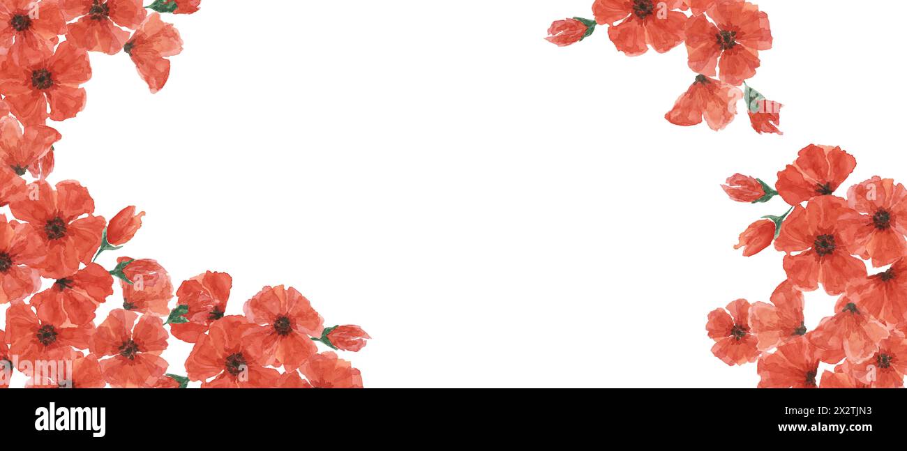 Red poppies web template banner. Poppy day flower compositions. Hand ...