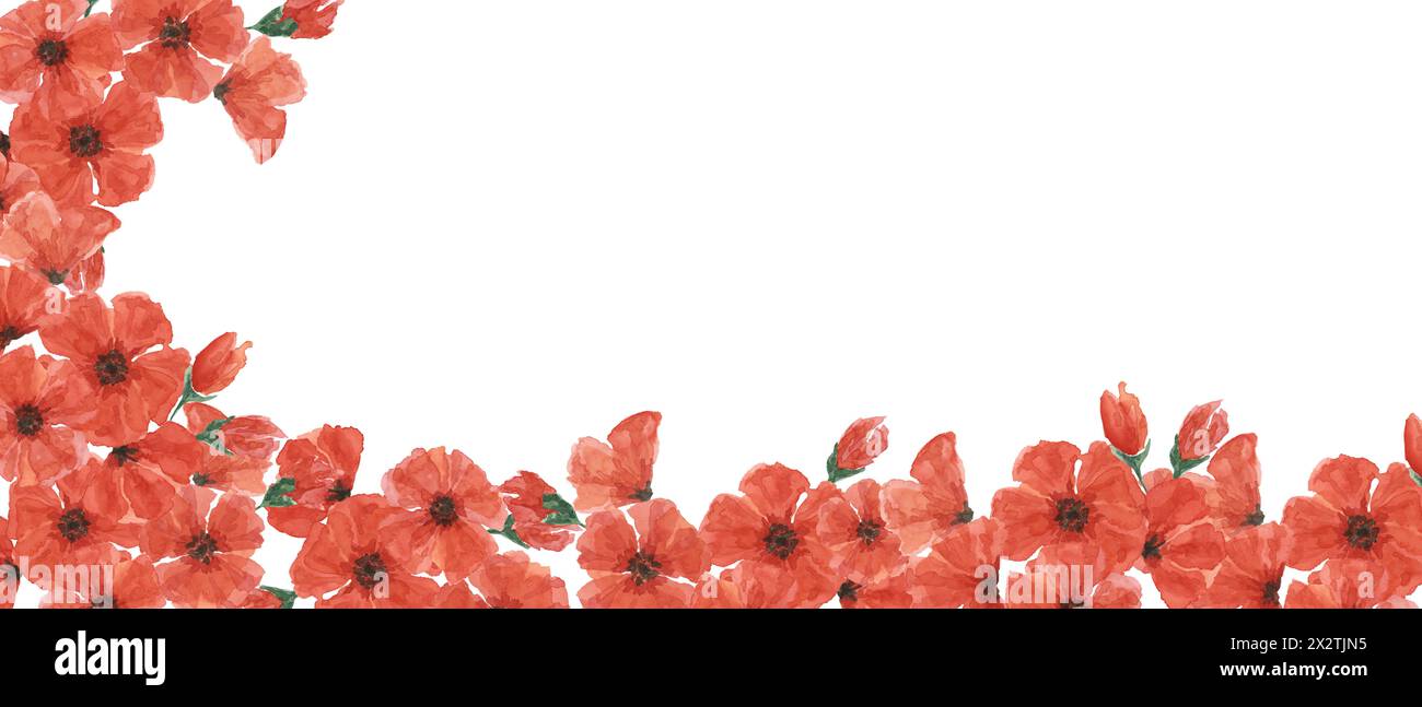 Red poppies web template banner. Poppy day flower compositions. Hand ...