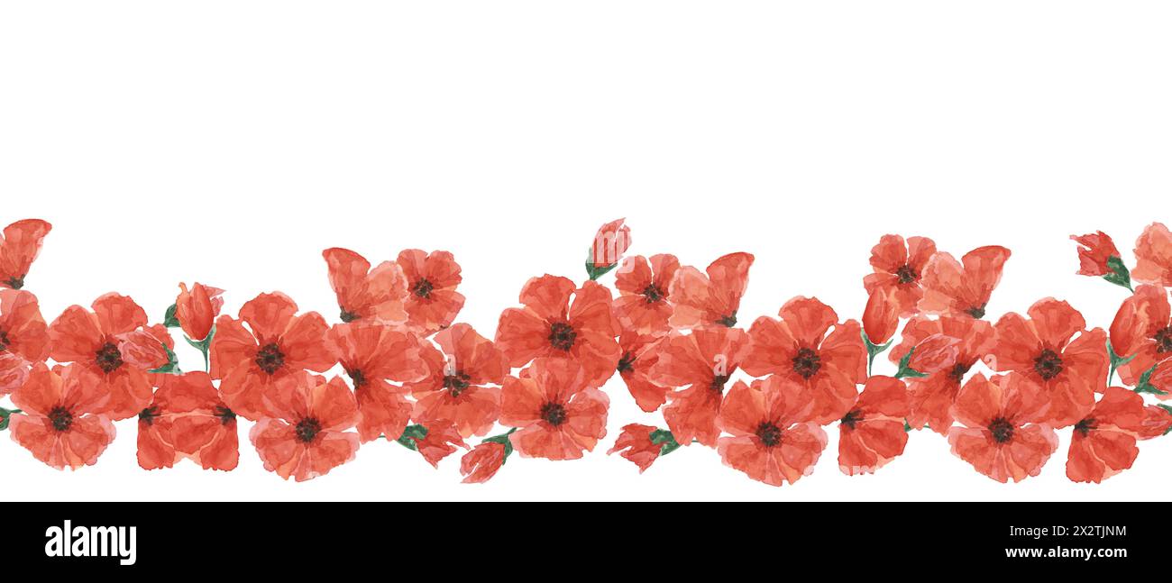 Red poppies seamless border. Poppy day flower compositions. Hand drawn ...