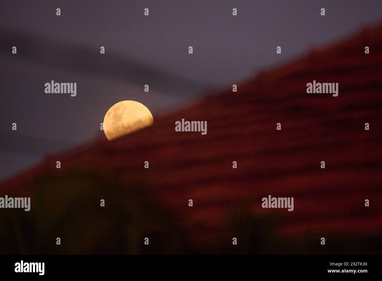 Rio Claro, Brazil. 23rd Apr, 2024. The pink full moon phenomenon is ...