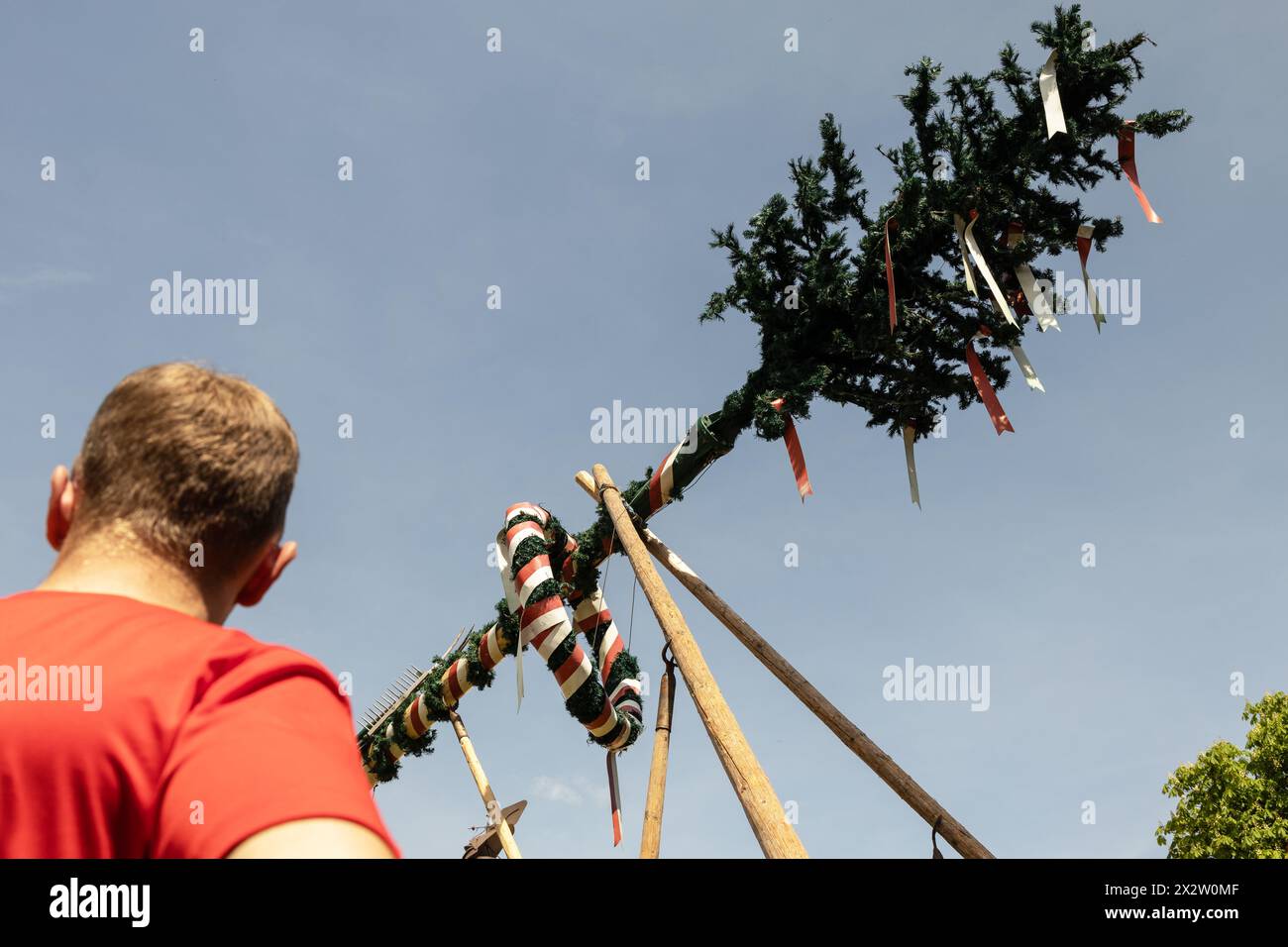 AUSTRIA, SALZBURG - 7 MAI, 2023: decorated maypole top at the Stiegl ...