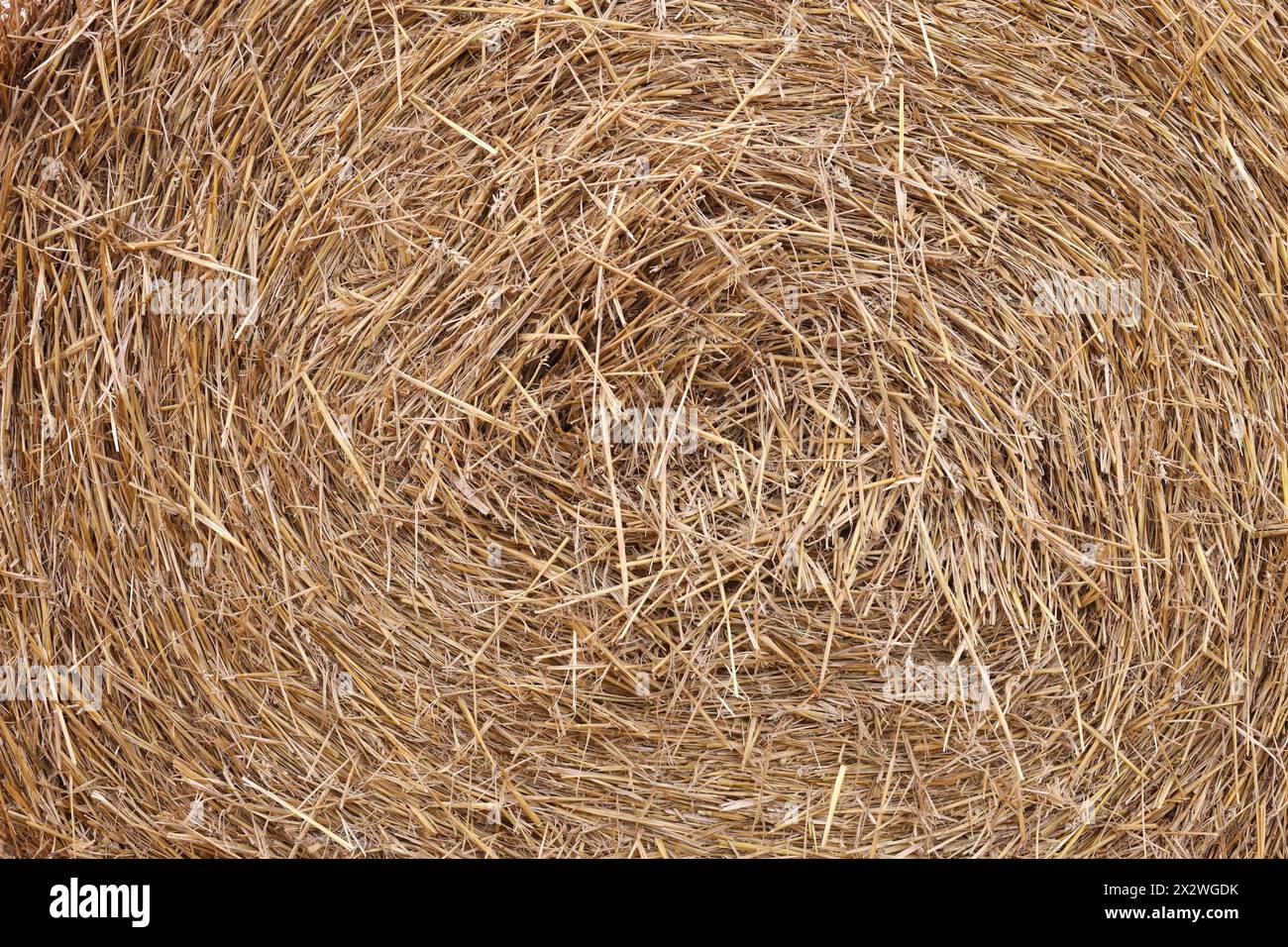 Hay bale roll as background, closeup view Stock Photo - Alamy