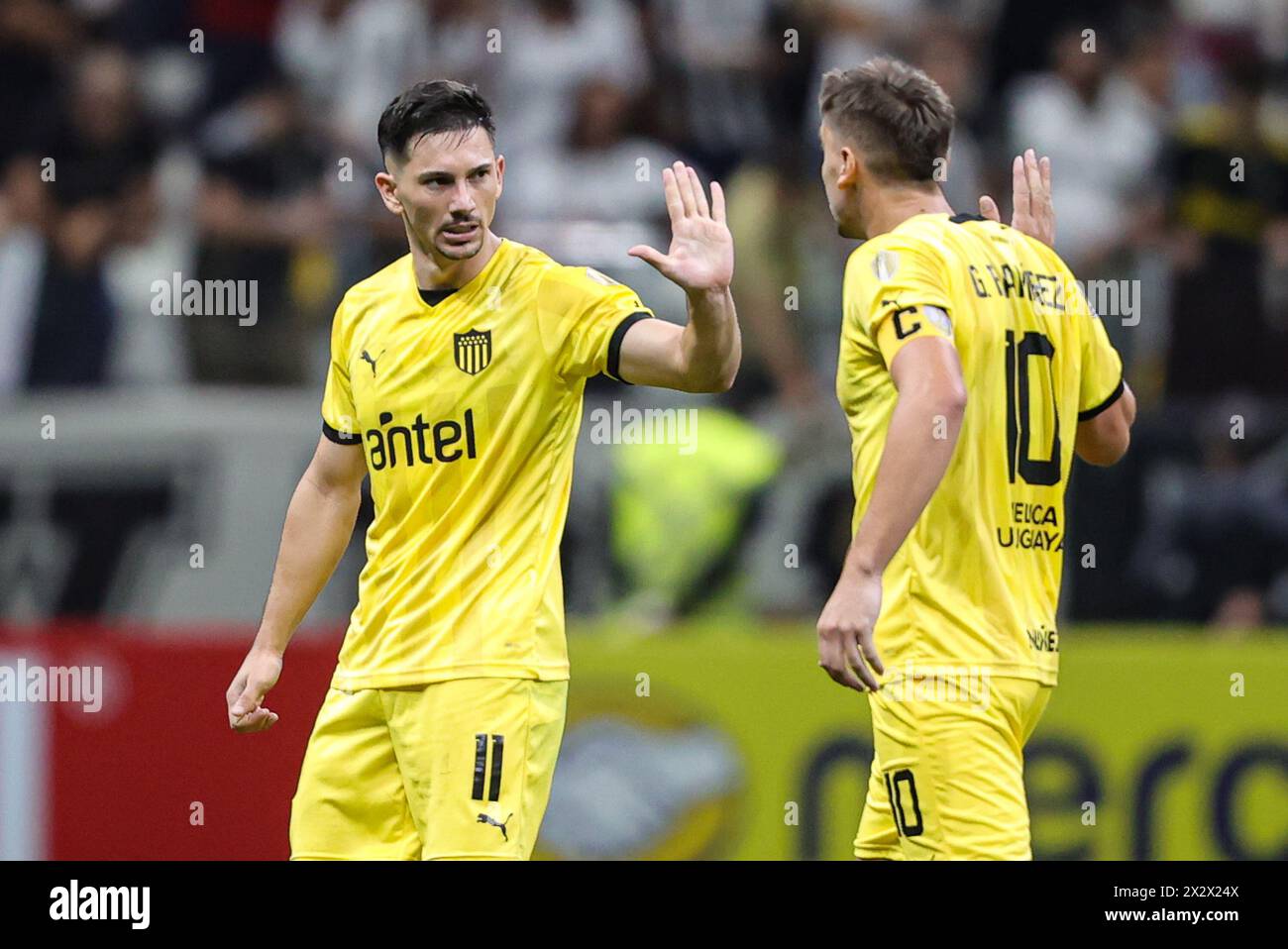 Belo Horizonte, Brazil. 23rd Apr, 2024. MG - BELO HORIZONTE - 04/23 ...