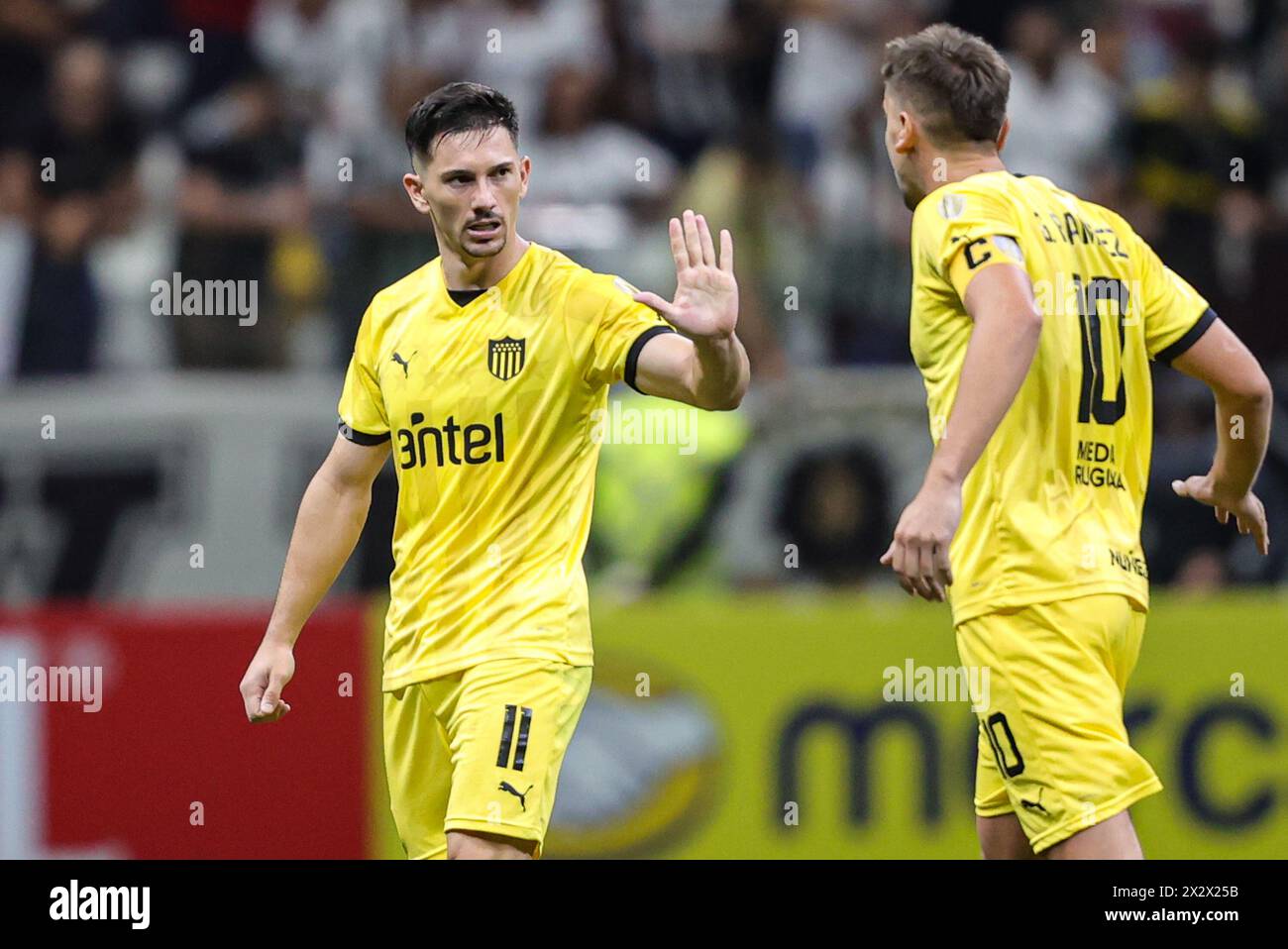 Belo Horizonte, Brazil. 23rd Apr, 2024. MG - BELO HORIZONTE - 04/23 ...